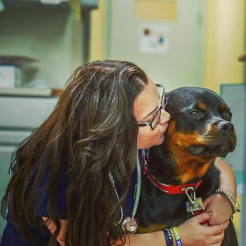 Veterinarian In Malvern, PA | Malvern Veterinary Hospital
